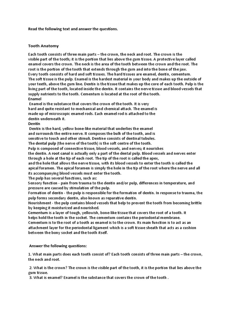 English Homework | PDF | Human Tooth | Dentin