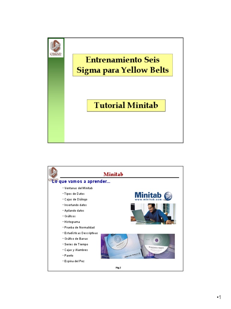 Tutorial Minitab Básico para Green | PDF