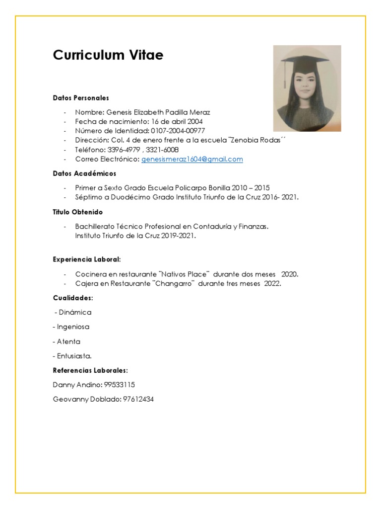 Curriculum Genesis | PDF | Crecimiento personal y profesional | Derecho