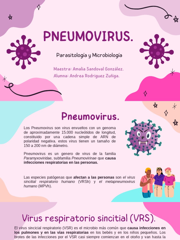 Infecciones respiratorias causadas por Pneumovirus: Características ...