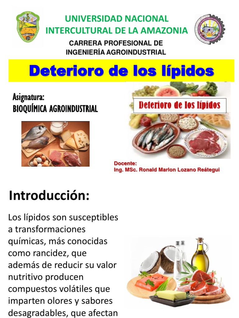 Clase2-Deterioro de Los Lípidos | PDF | Lípido | Petróleo