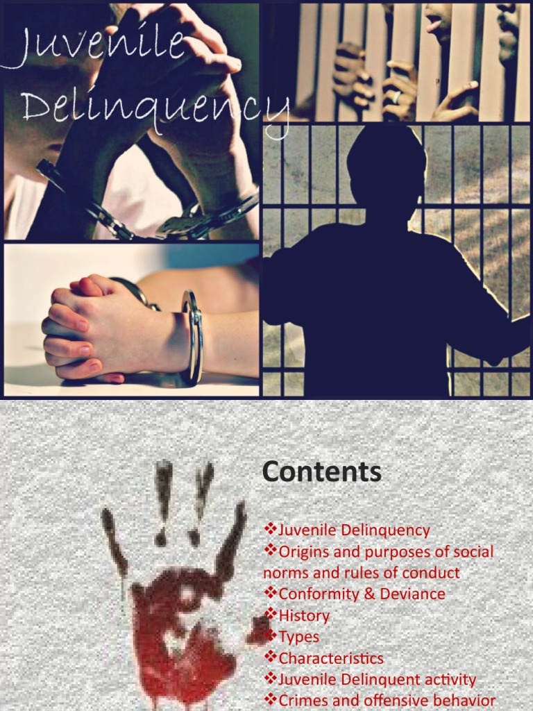 Introduction To Juvenile Delinquency | PDF | Juvenile Delinquency ...