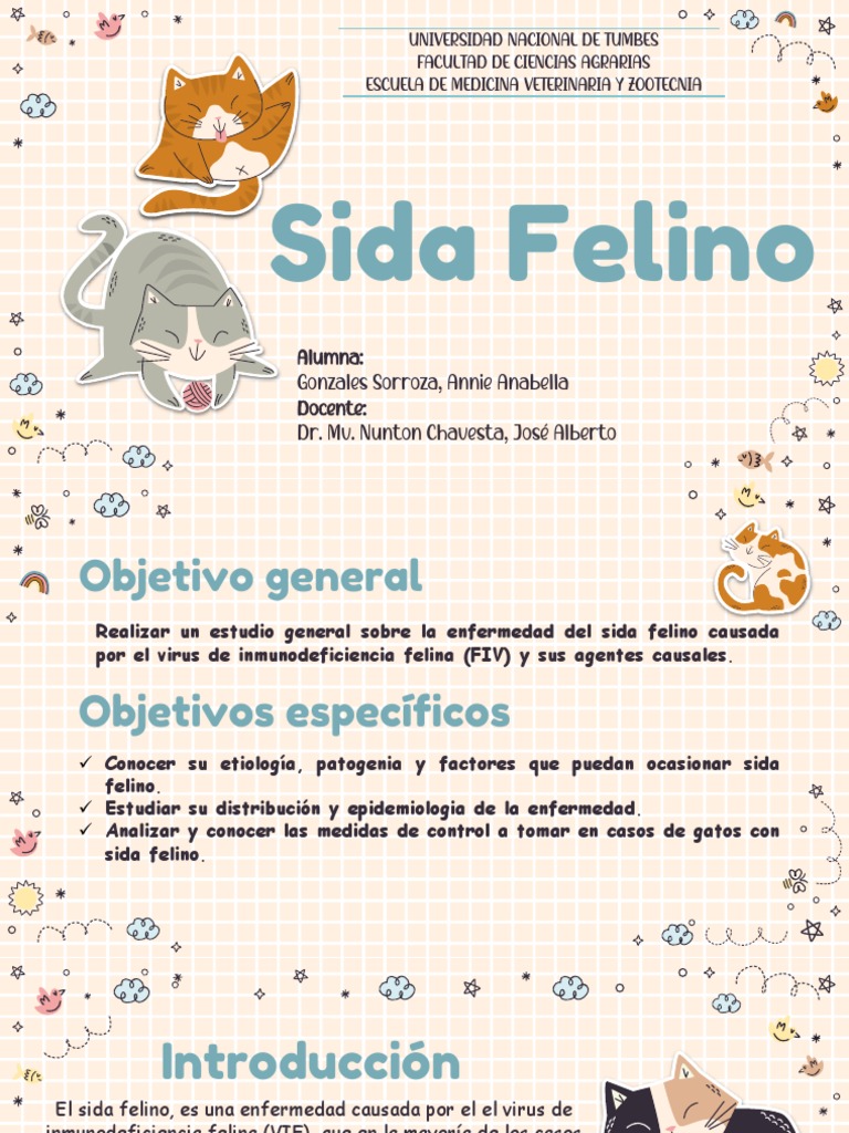 Sida Felino: Causas y Tratamiento | PDF | VIH / SIDA | Gatos