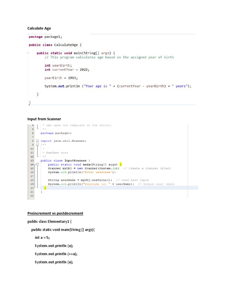 Java Basics for Beginners | PDF