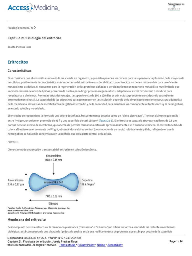 Capítulo 21 - Fisiología Del Eritrocito | PDF | Glóbulo rojo | Membrana ...