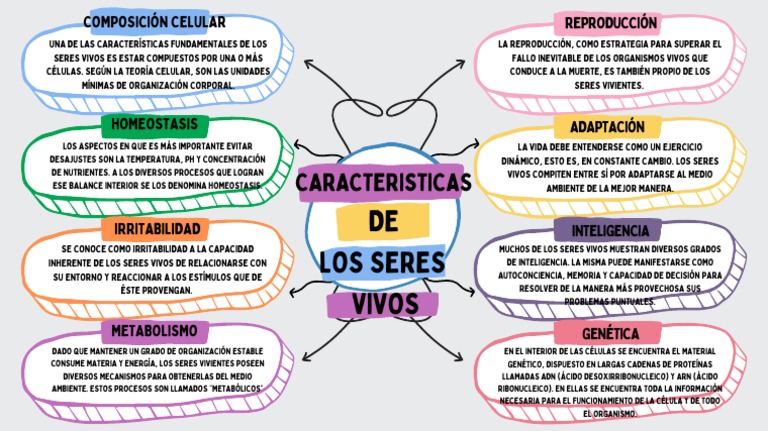 Mapa Conceptual de Las Caracteristicas de Los Seres Vivos | PDF | Organismos | Biología Celular)