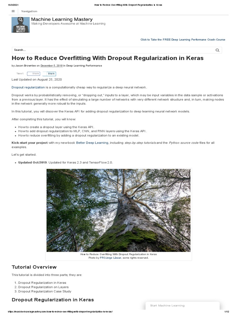 How To Reduce Overfitting With Dropout Regularization In Keras Pdf Deep Learning