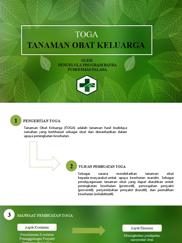 Manfaat dan Pembuatan Tanaman TOGA | PDF | Kesehatan Holistik