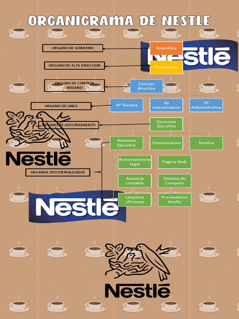 Organigrama De Nestlé 2024 Pdf