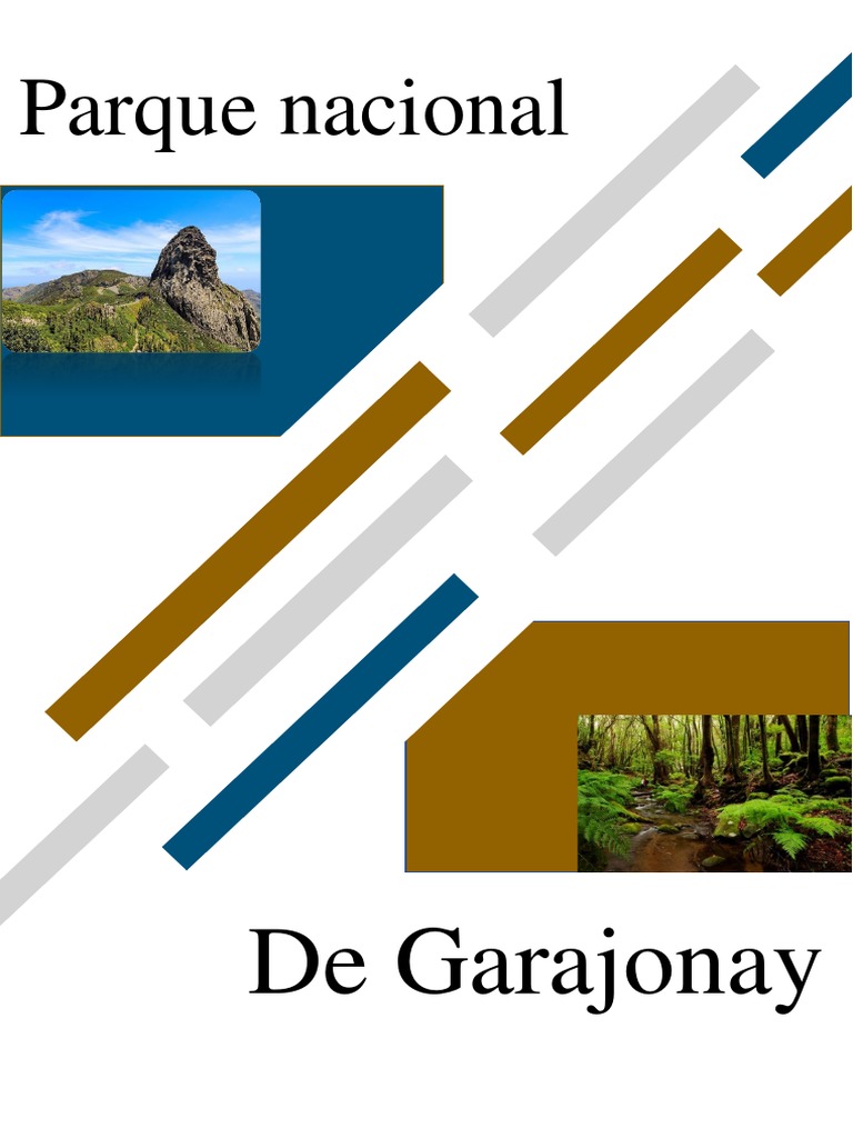 Parque Nacional de Garajonay: Fauna y Leyenda | PDF | Herida | Islas ...