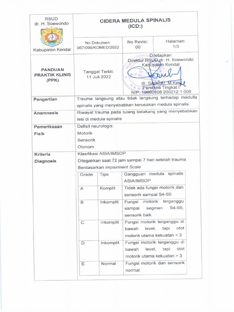 Cidera Medula Spinalis | PDF