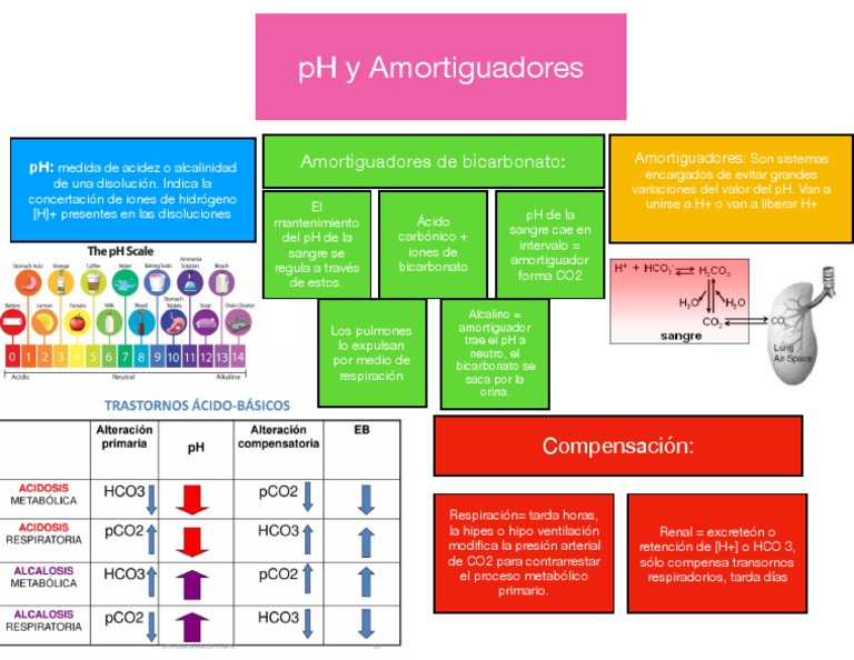 PH y Amortiguadores | PDF | Ph | Fisiología