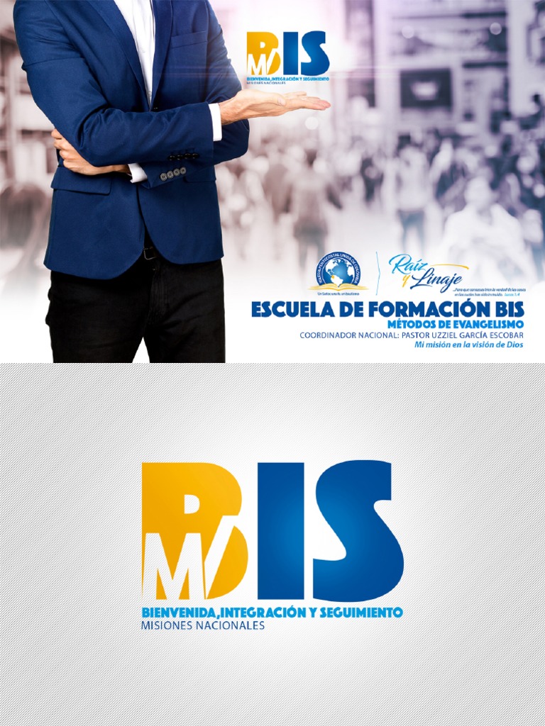 Instructivo BIS IPUC 2020 | PDF