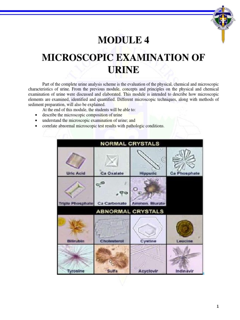 AUBF - Module 4 | PDF | White Blood Cell | Red Blood Cell