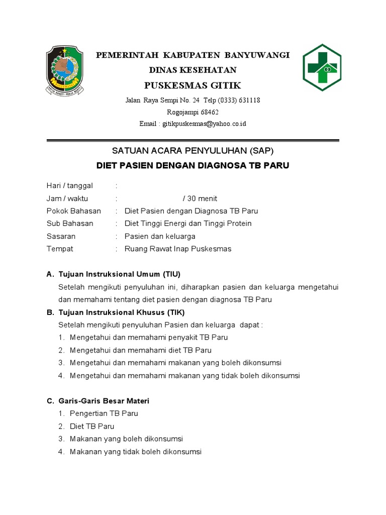 Sap Diet TB Paru | PDF