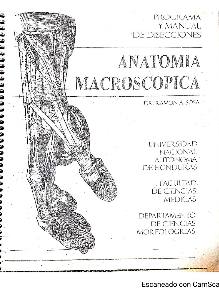 Manual de Anatomia Macroscopica | PDF