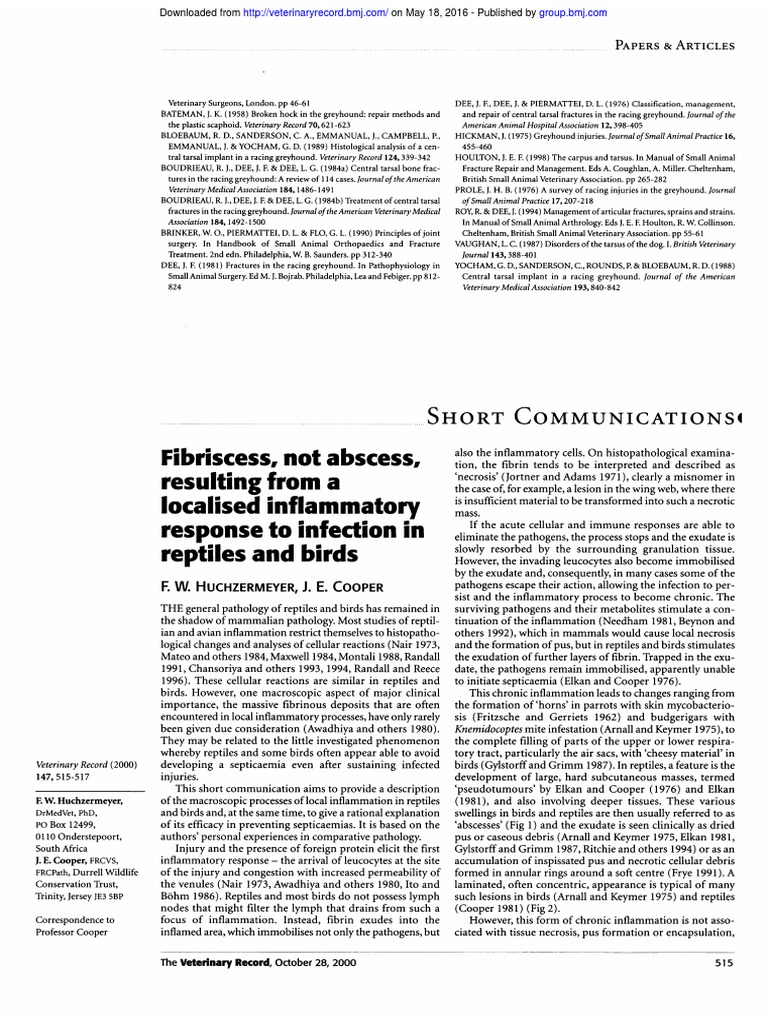 Fibriscess, Not Abscess, Resulting From A Localised Inflammatory ...