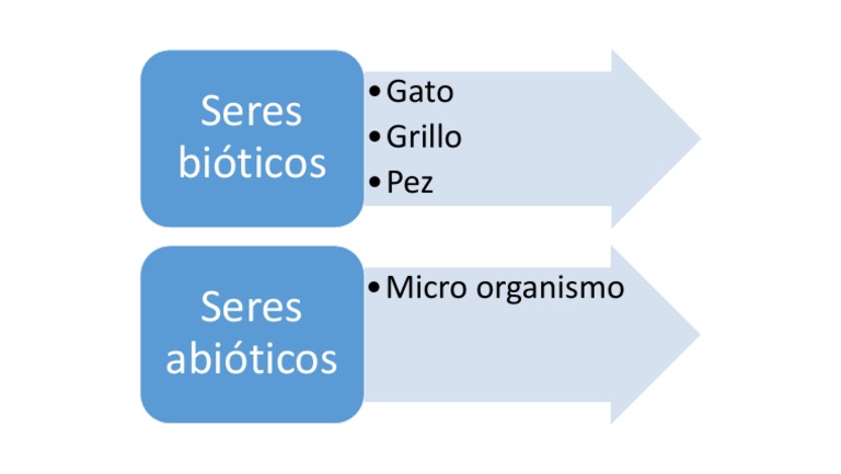 Esquema de Similitudes | PDF