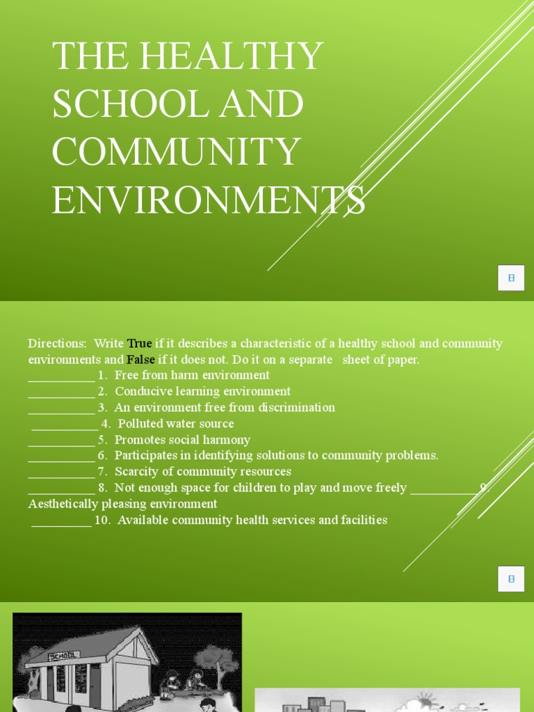 Healthy School and Community Traits | PDF