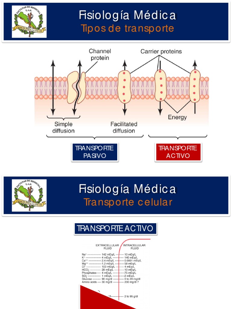 Tipos de Transporte Activo Celular | PDF | Bioquímica | Química