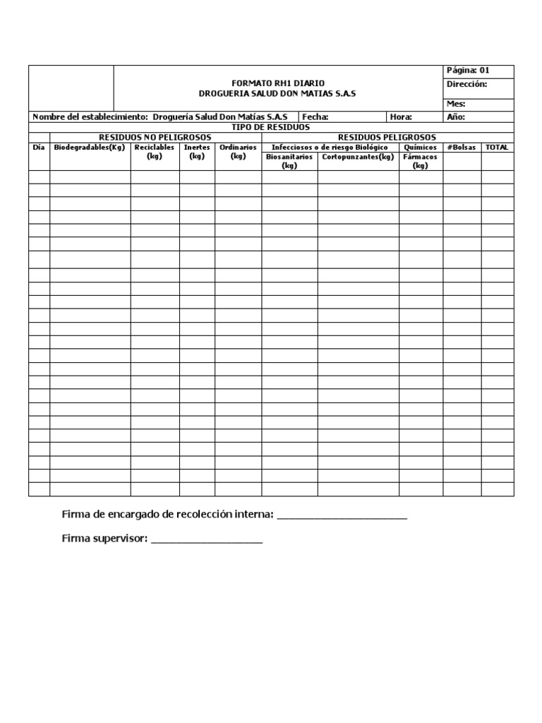 Formato RH1 Diario | PDF