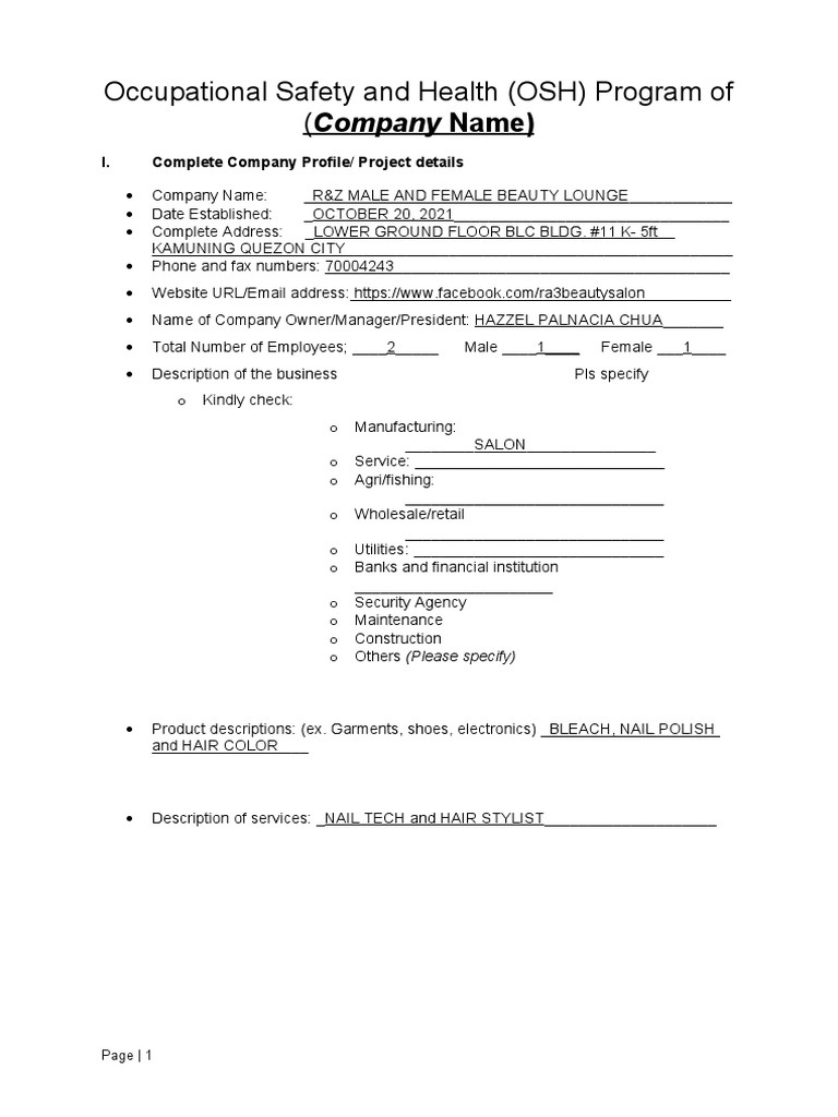 Template OSHprogram | PDF | Occupational Safety And Health | Safety