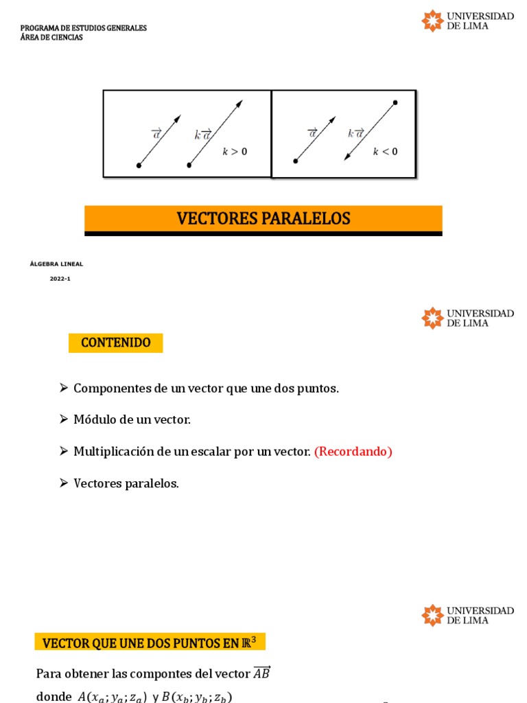 3_VECTORES PARALELOS AL 2022-1 | PDF | Vector Euclidiano | Geometria plana)