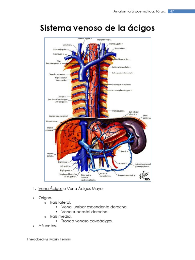 Sistema Acigos | PDF