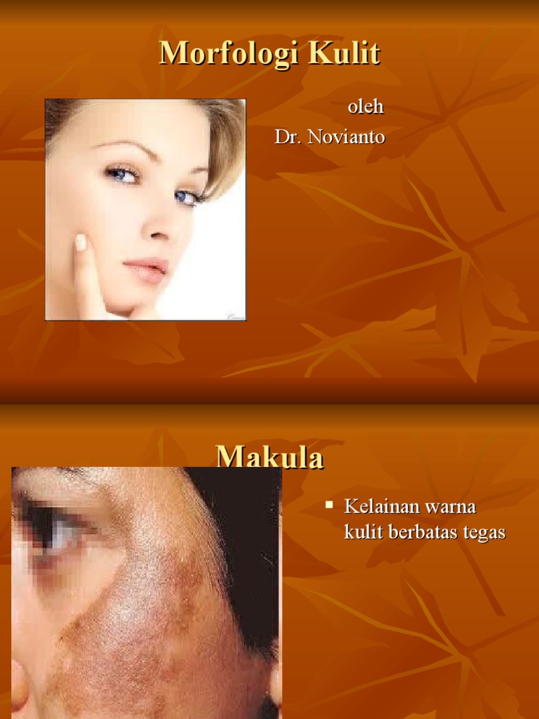 Morfologi Kulit | PDF