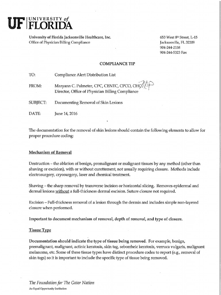 Skin Lesion Destruction | PDF