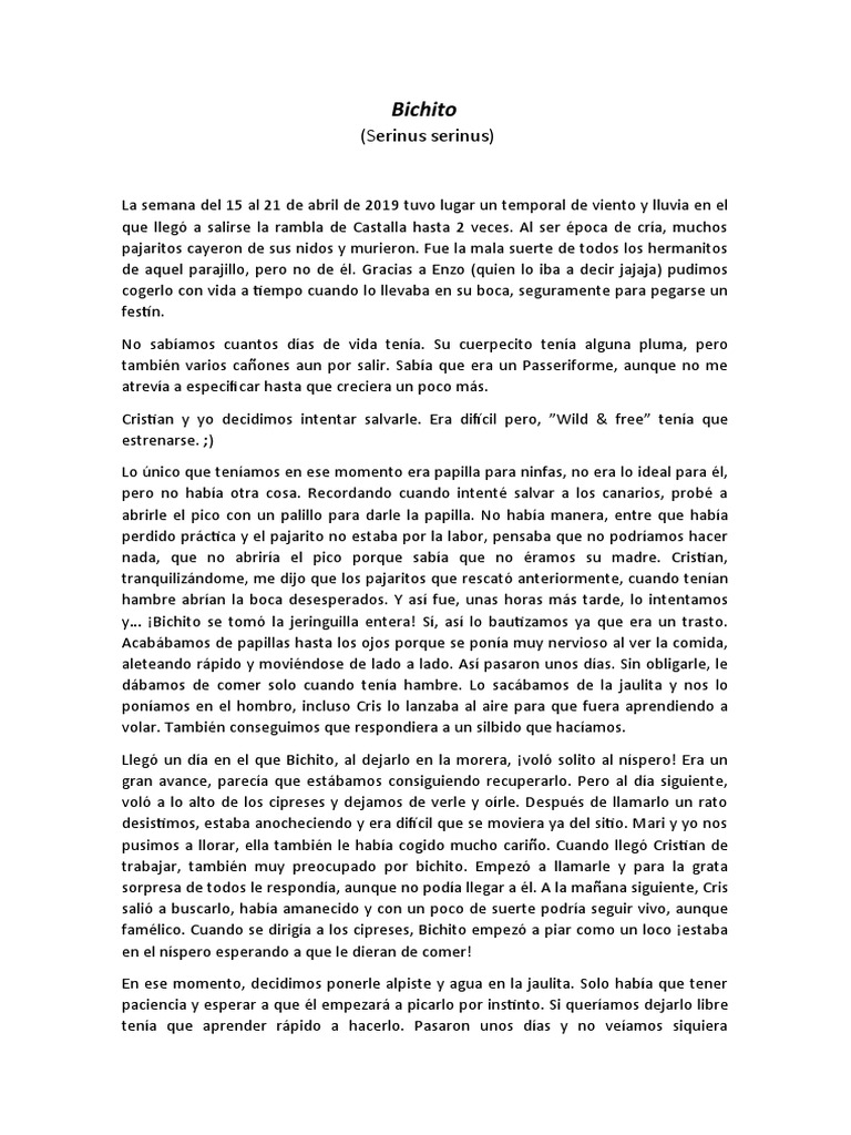 Bichito (Serinus Serinus) | PDF | Cocina, comidas y vino | Salud y bienestar