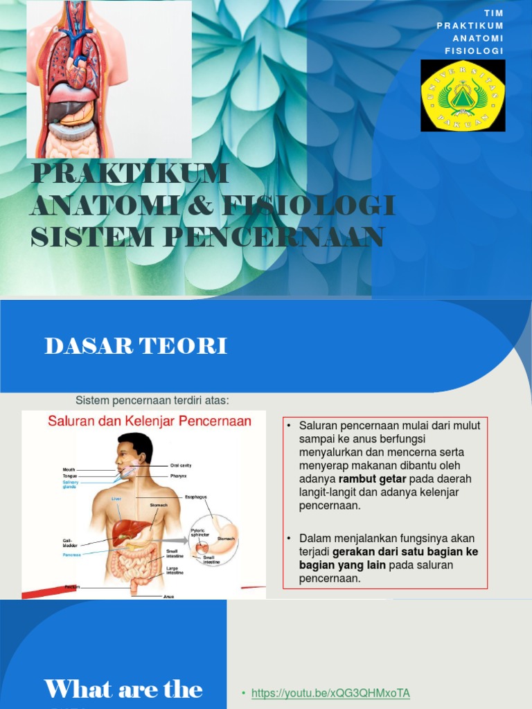 Pertemuan 6, ANATOMI & FISIOLOGI SISTEM PENCERNAAN | PDF