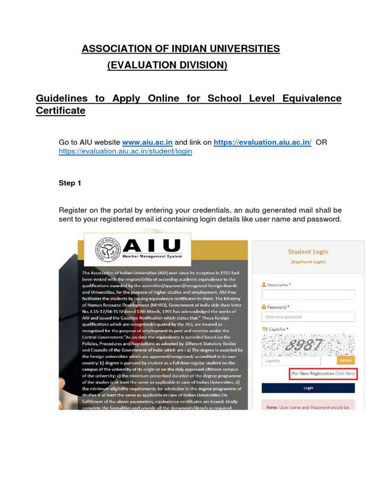 Guidelines To Fill Application Form | PDF