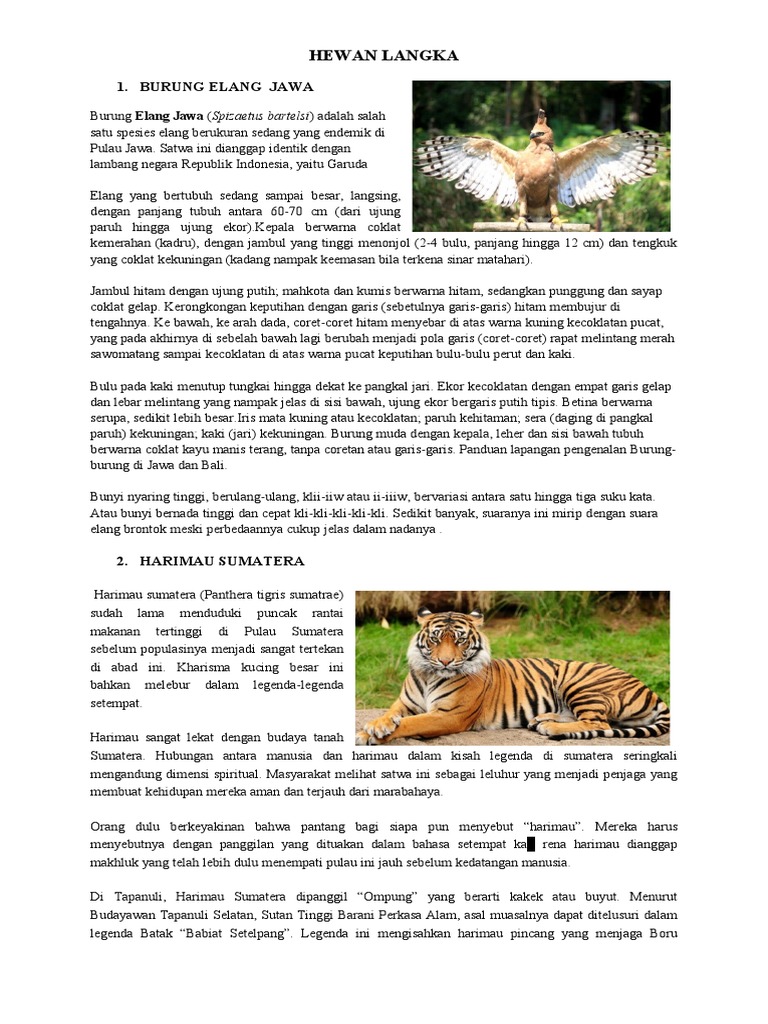 Hewan Langka | PDF