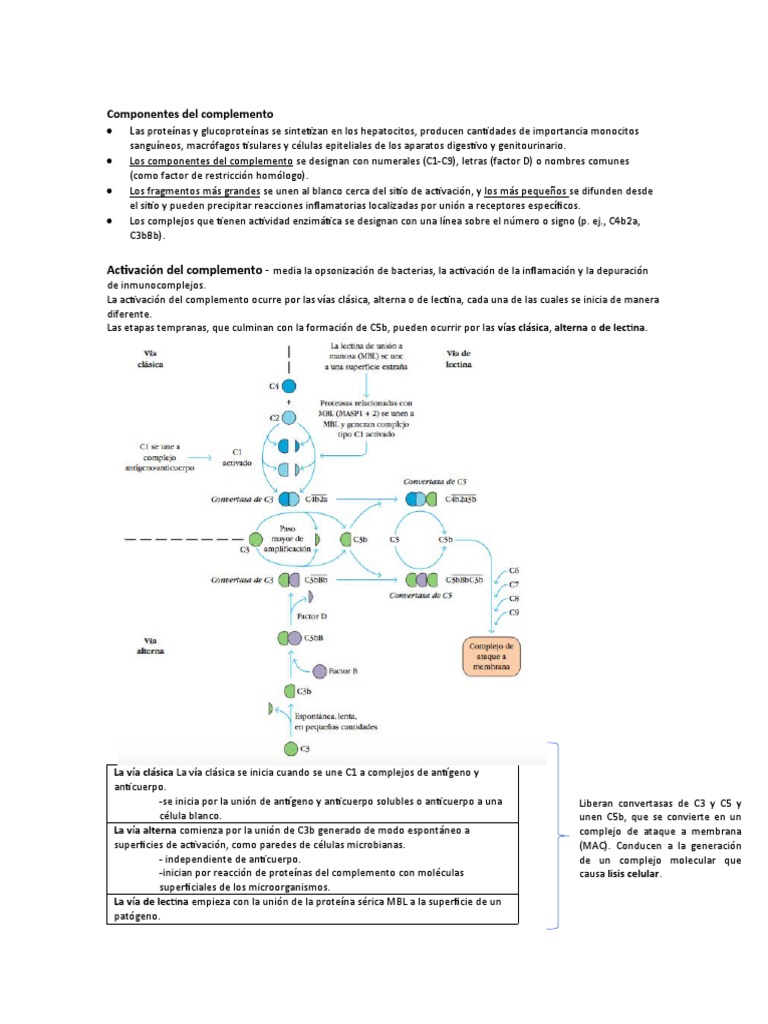 Componentes Del Complemento | PDF | Sistema complementario ...