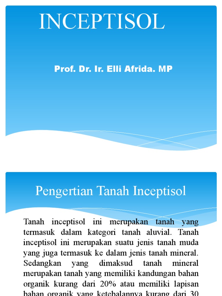 Ordo Inceptisol | PDF