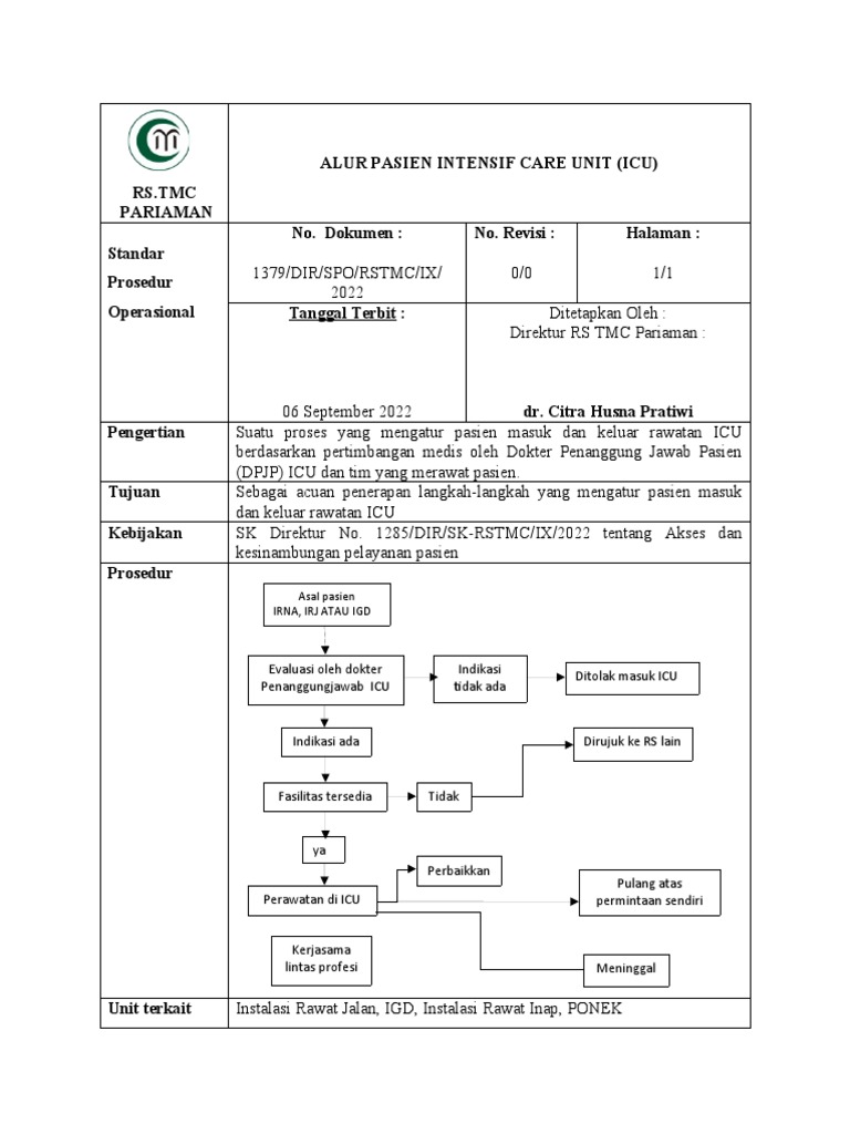 Spo Alur Icu | PDF