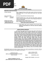 Contoh Berita Acara Pemeriksaan | PDF