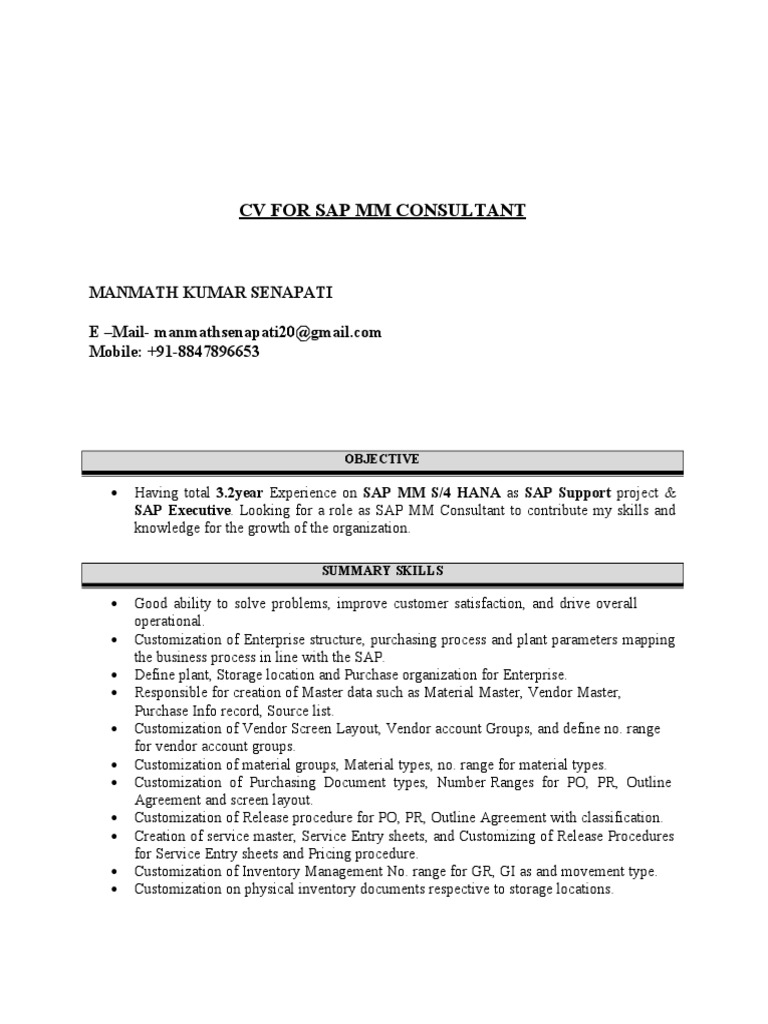 Sap MM Consultant Resume | PDF | Logistics | Information Technology ...