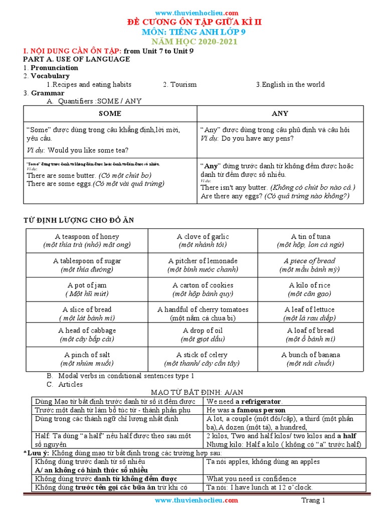 De Cuong On Tap Giua HK2 TIENG ANH 9 | PDF