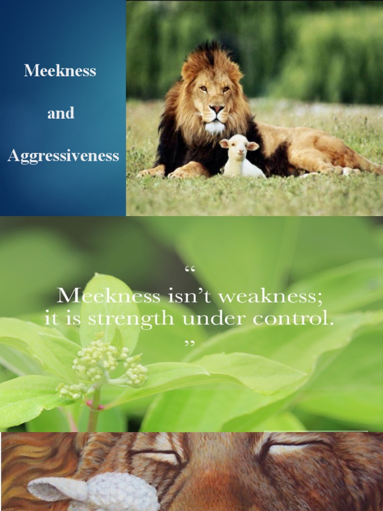 Nonmeekness in Meekness Explained | PDF | Humility | Religious Belief ...
