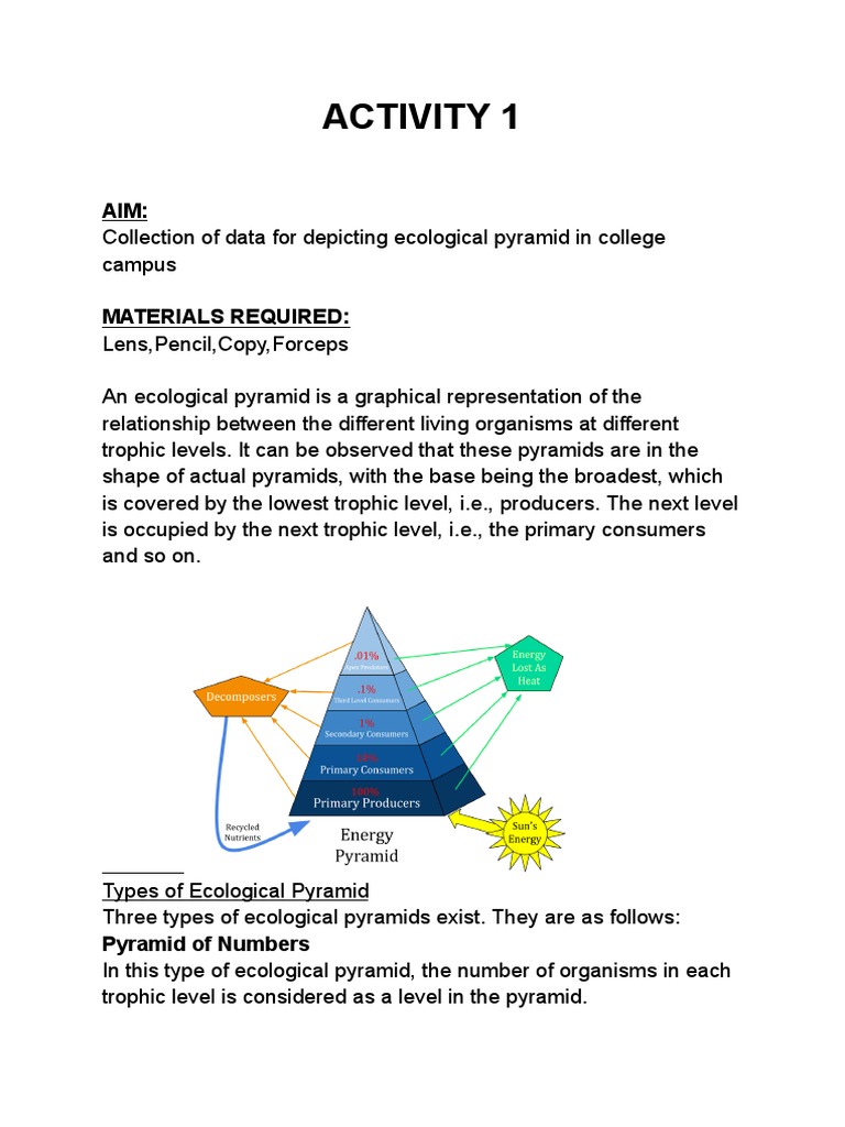 Types of Ecological Pyramids Explained | PDF | Science & Mathematics