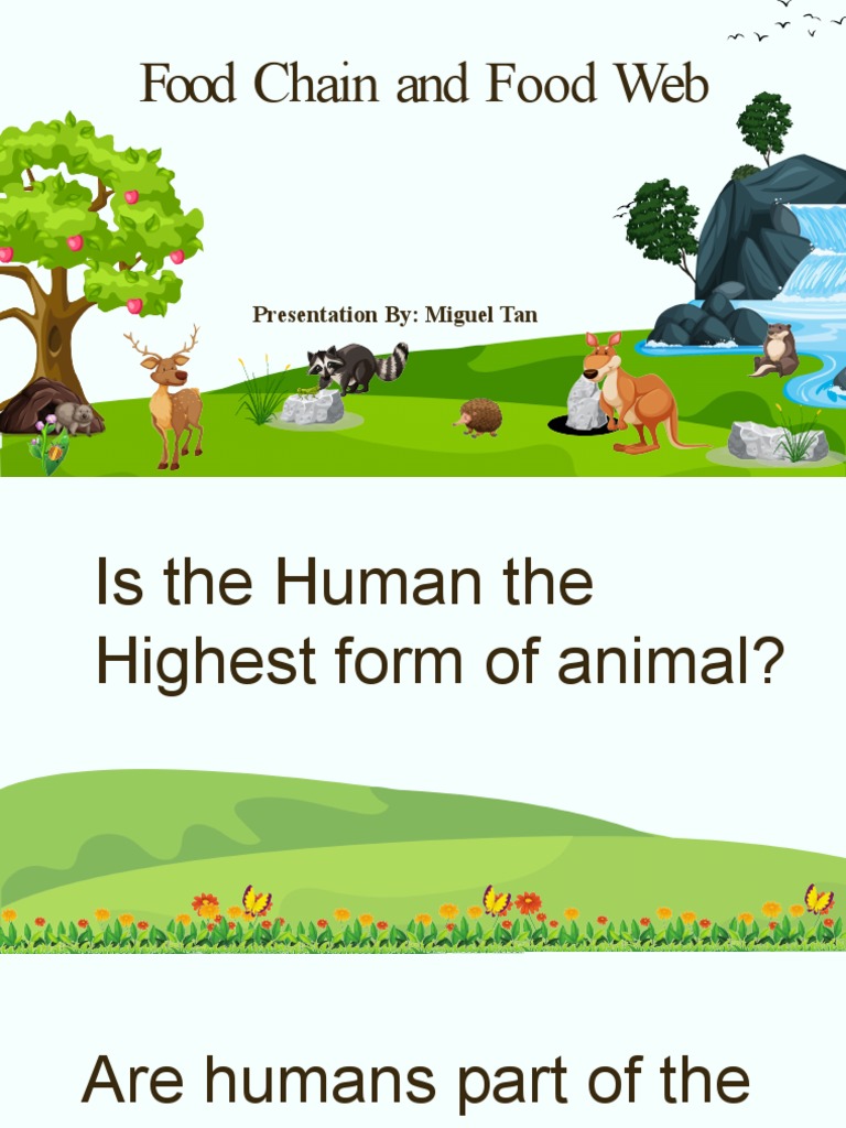 Food Chain and Food Web - TAN | PDF