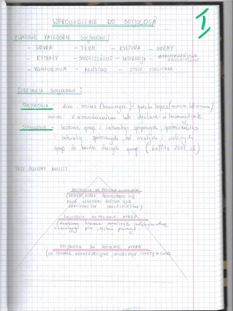 Socjologia Notatki | PDF