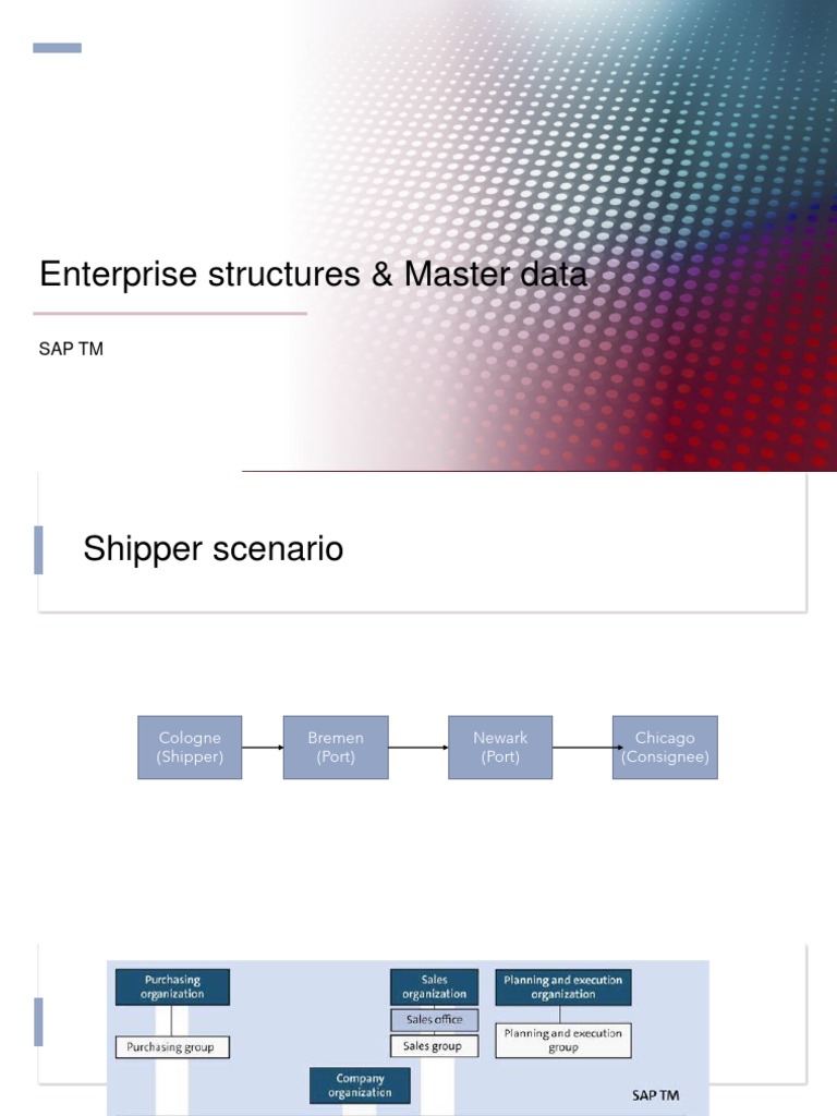 TM - Ent Struct & Master Data | Download Free PDF | Transport | Cargo