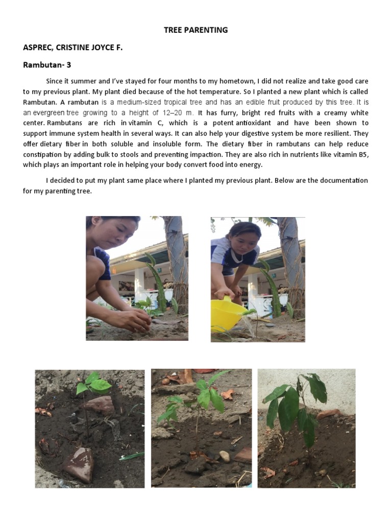 Tree Parenting | PDF