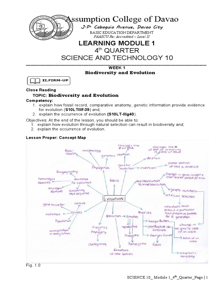 4th QUARTER-Module 1 & 2-Biodiversity and Evolution | Download Free PDF | Mutation | Evolution