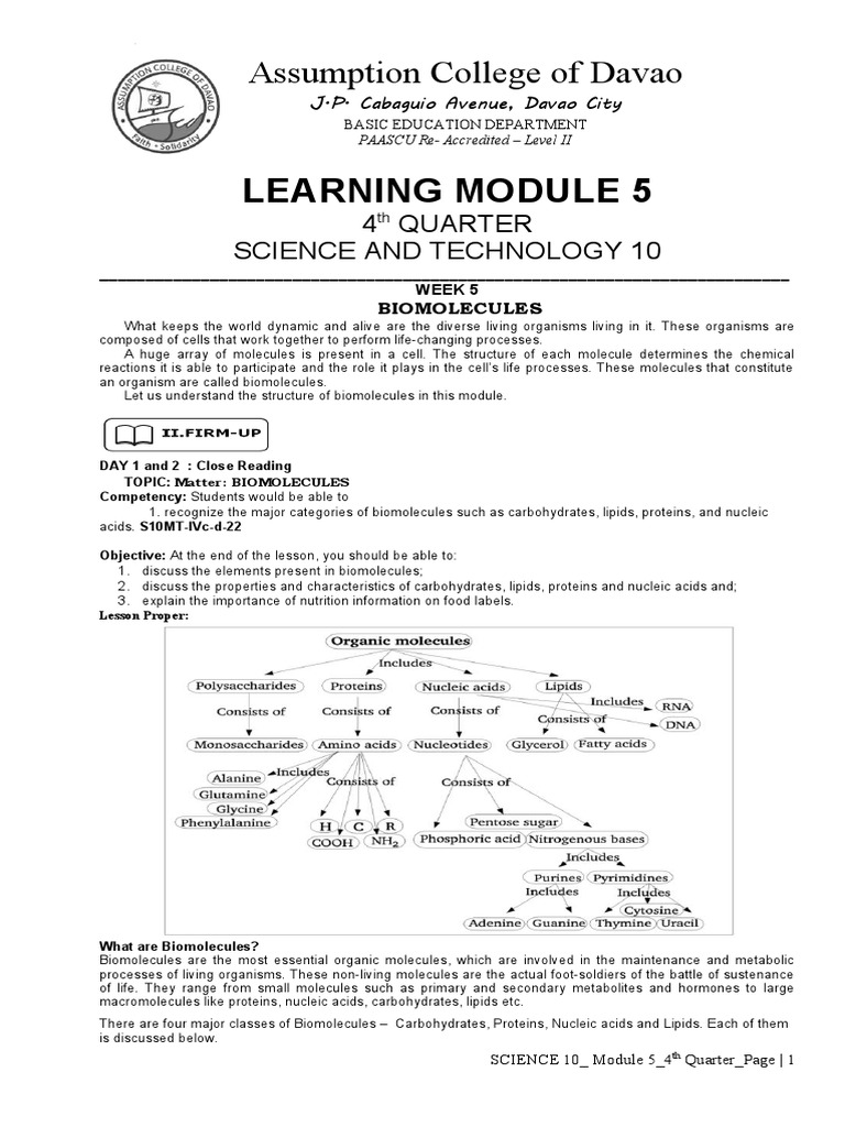 4th QUARTER-Module-5-BIOMOLECULES | PDF | Lipid | Carbohydrates