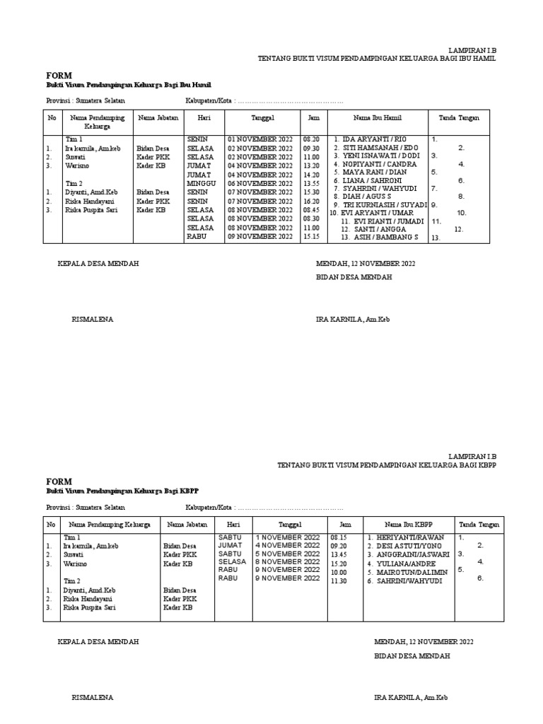 Form Visum Bumil Nov | PDF