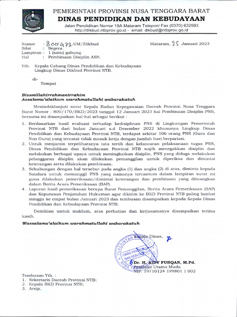 Pembinaan Disiplin Asn | PDF